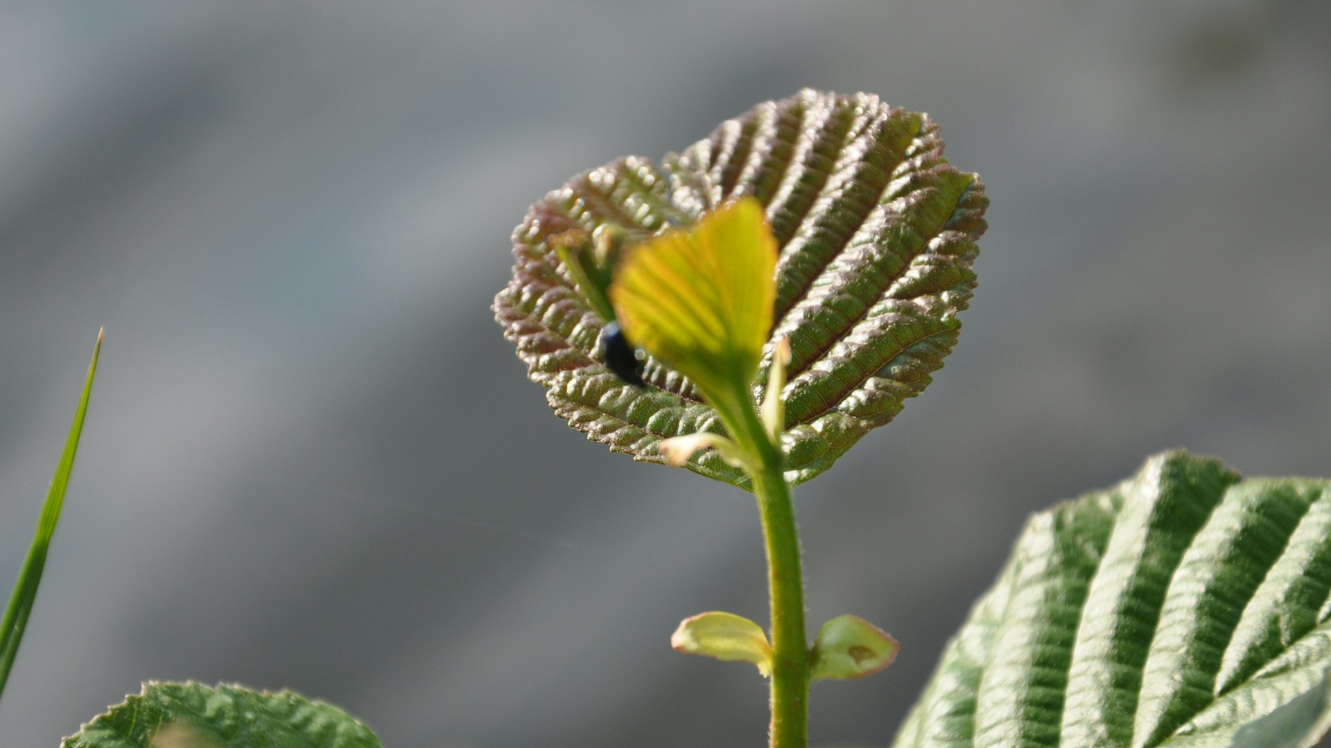 Are you Ready to Expand?